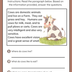 English Reading Comprehension Booklet Grade 1 and 2 Handwriting ...