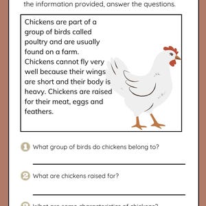 English Reading Comprehension Booklet Grade 1 and 2 Handwriting ...