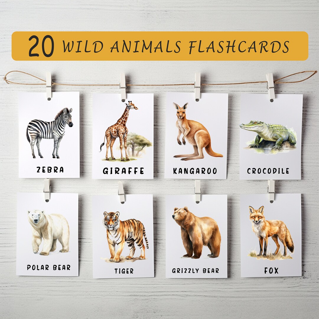 Tarjetas didácticas de animales salvajes para aprender en - Etsy España