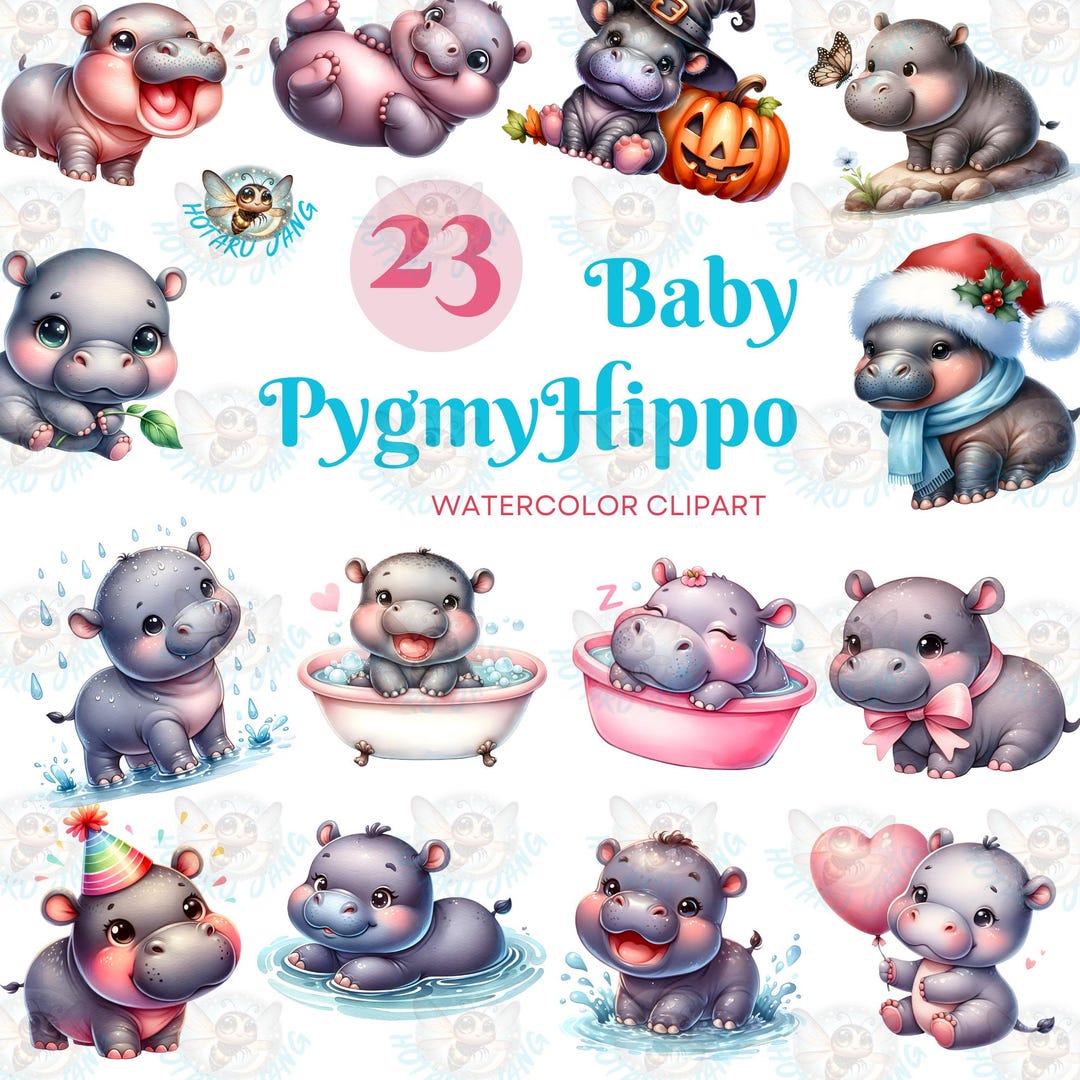 Baby Pygmy Hippo Clipart, Baby Hippo Png, Jungle Animal Art, Cute ...