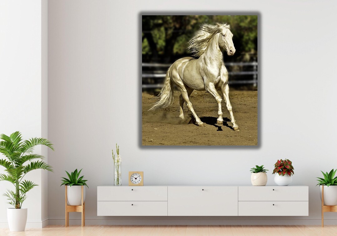 The Akhal-teke Also Called Heavenly Horse Original Print on Canvas Wall ...
