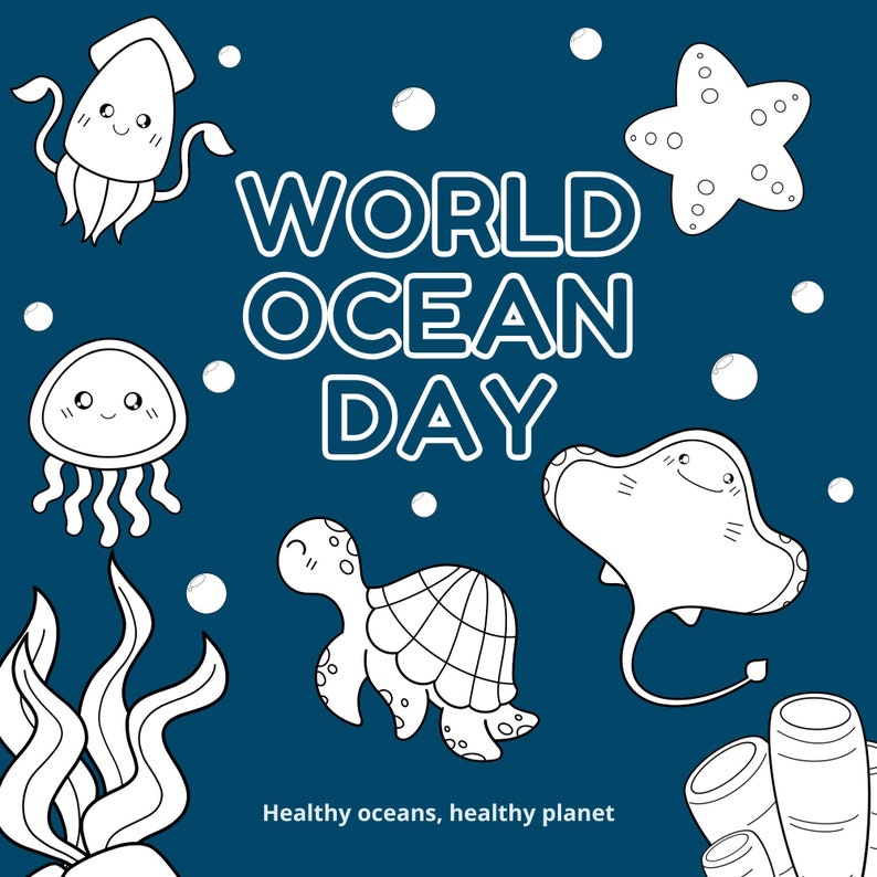Sea Animals Clipart: Under the Sea Doodles (PNG Download) - Etsy