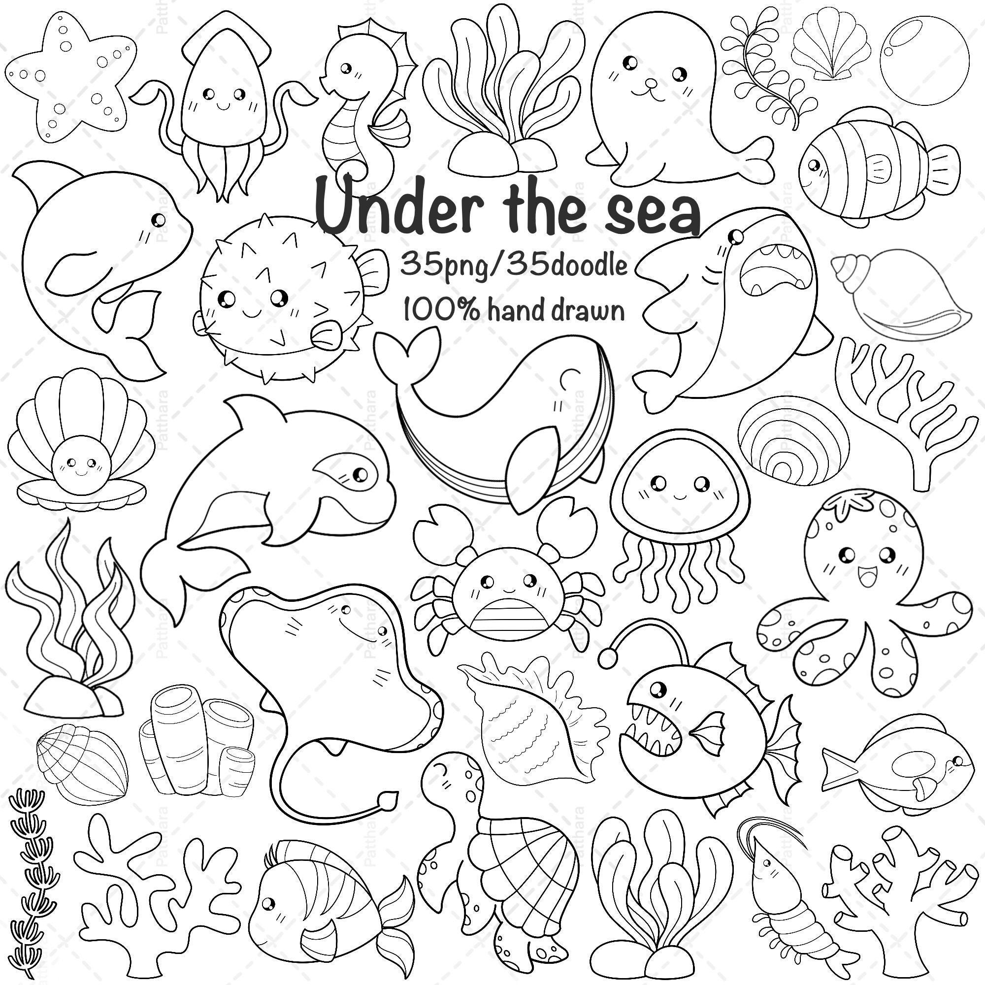 Sea Animals Clipart: Under the Sea Doodles (PNG Download) - Etsy