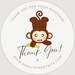 Monkeys Clipart Set, Cute Monkeys Png, Monkey Png, Baby, Safari, Jungle ...