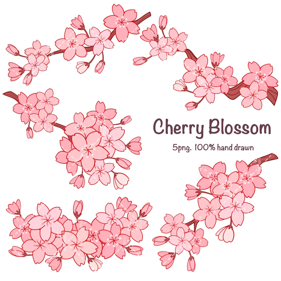 Cherry Blossoms, Cherry Blossoms Clipart, Sakura Clipart, Floral Frames ...