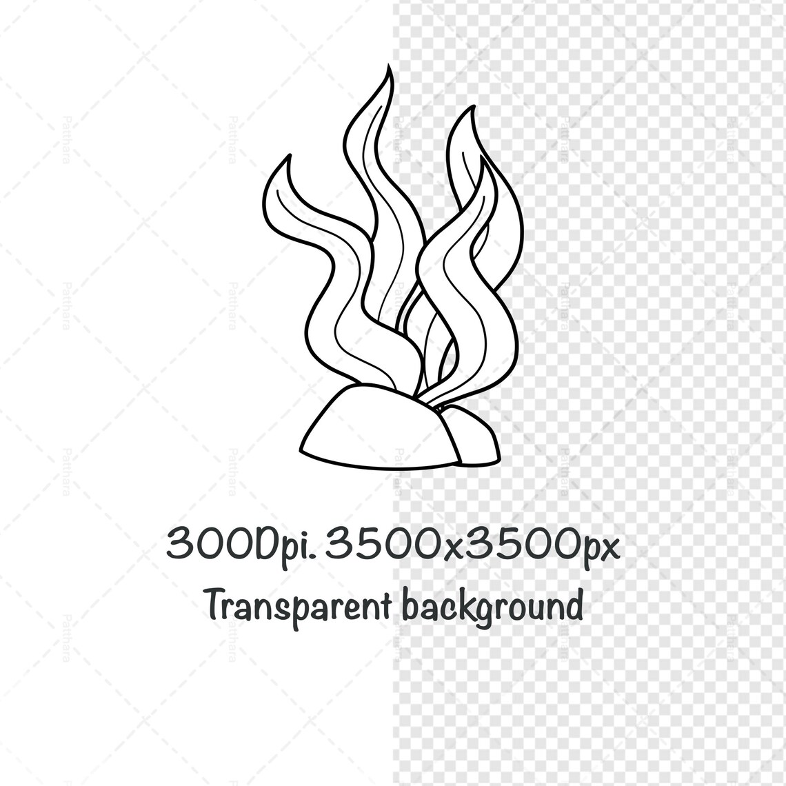 Sea Animals Clipart: Under the Sea Doodles (PNG Download) - Etsy