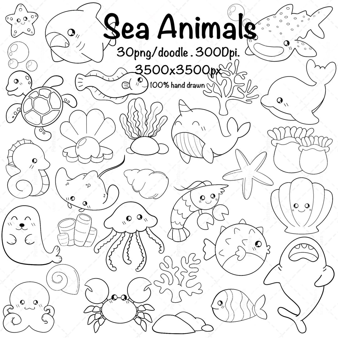 Sea Animals Clipart: Doodle Ocean Life Graphics (commercial Use) - Etsy