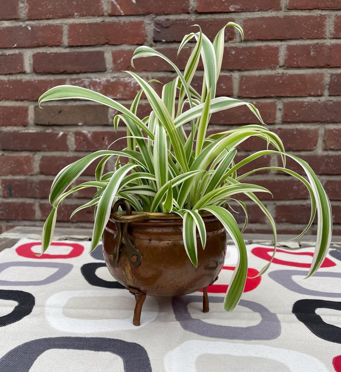 Cute Vintage Copper Planter, Small Plant Pot, Indoor Planter, Copper ...