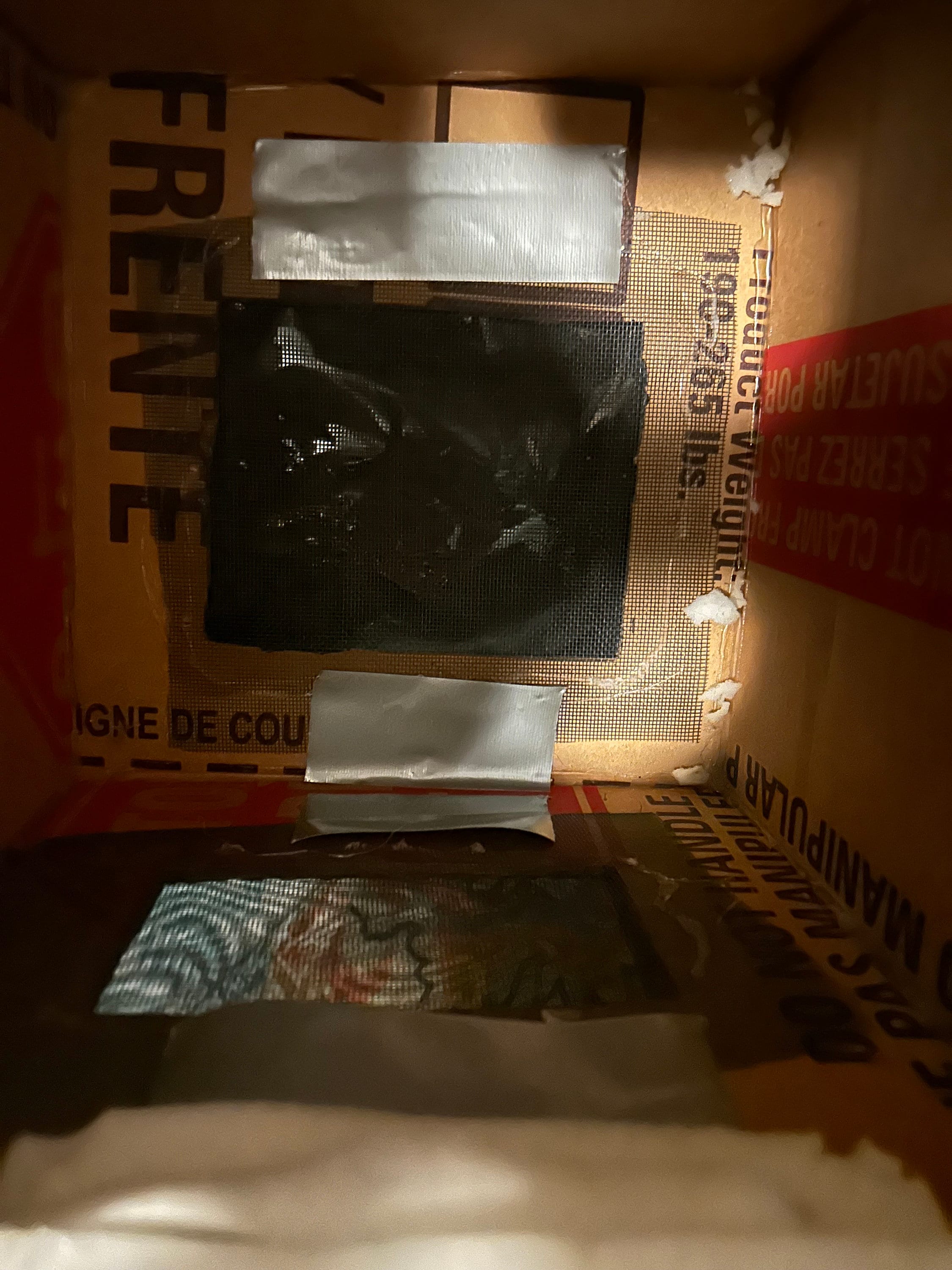 Blue Protogen Cardboard Fursuit Head - Etsy Australia