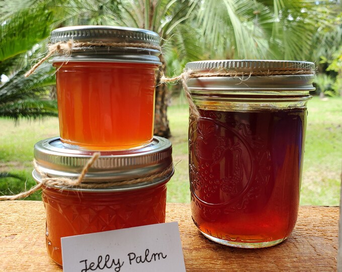 Jelly Palm pindo Jelly - Etsy