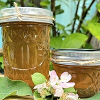 Tarbutton Apple Jelly - Etsy