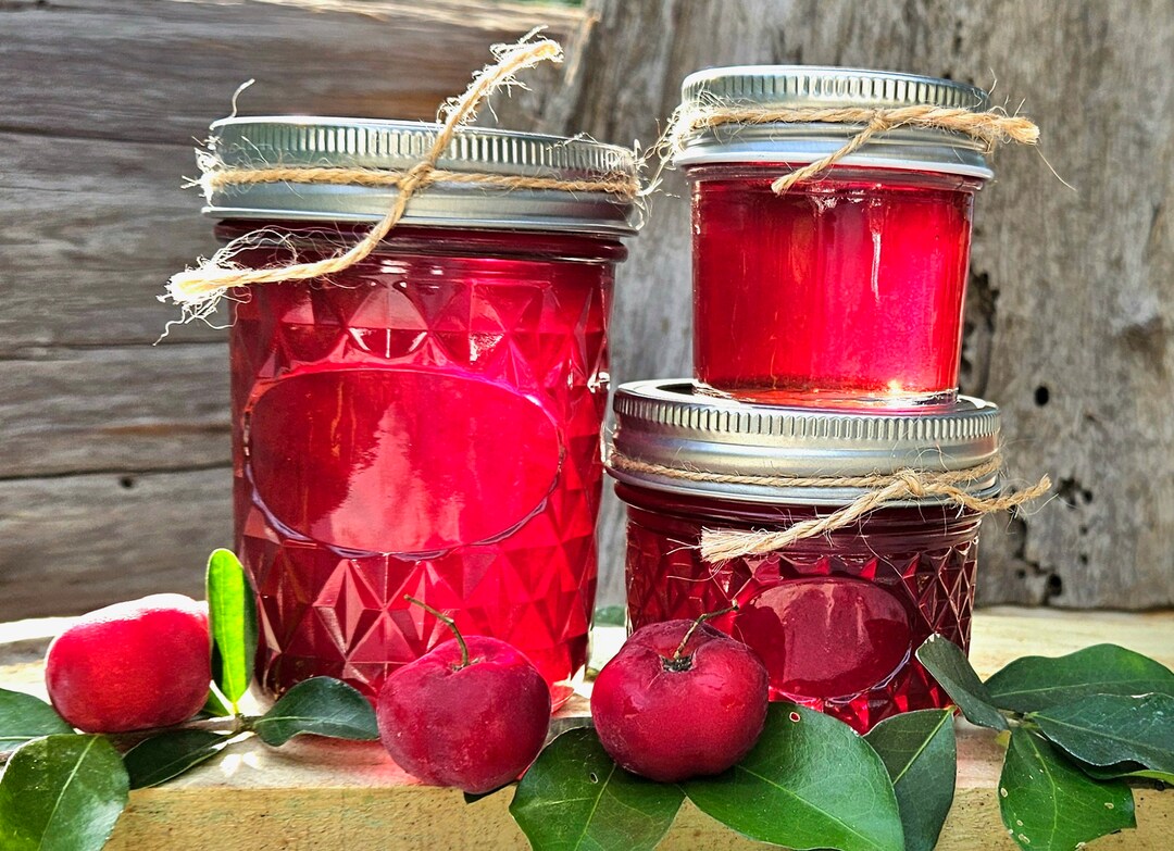 Sweet Southern Cherry Jelly - Etsy