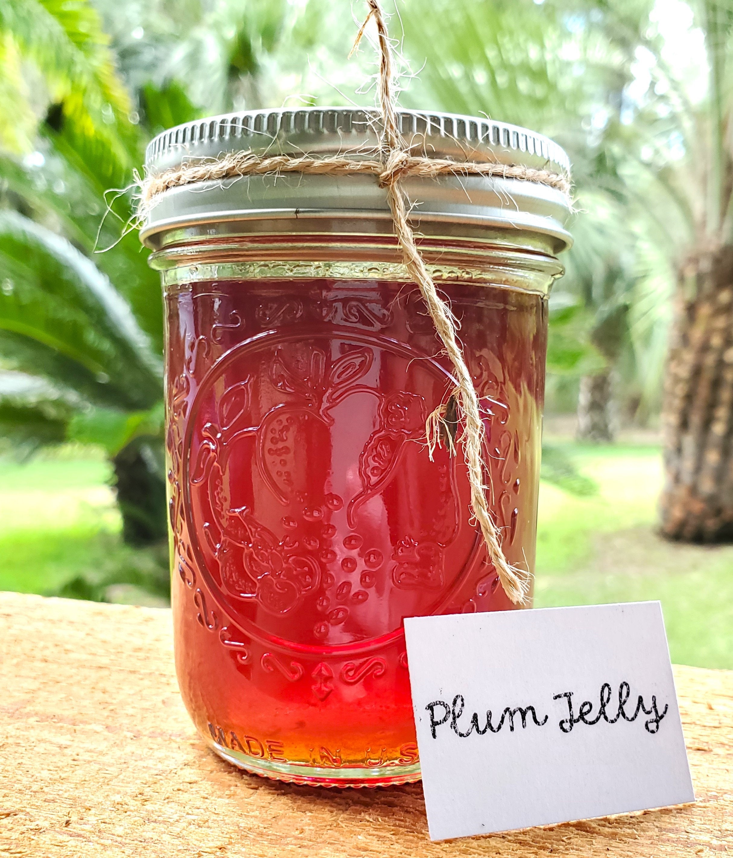 Chickasaw Plum Jelly - Etsy