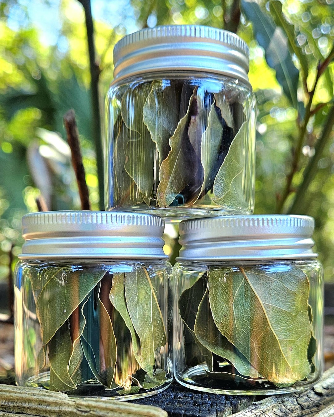 Bay Leaf - Etsy