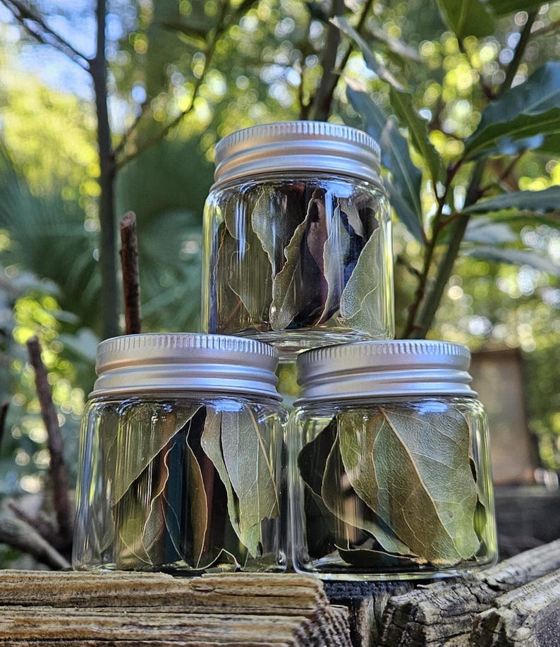 Bay Leaf - Etsy