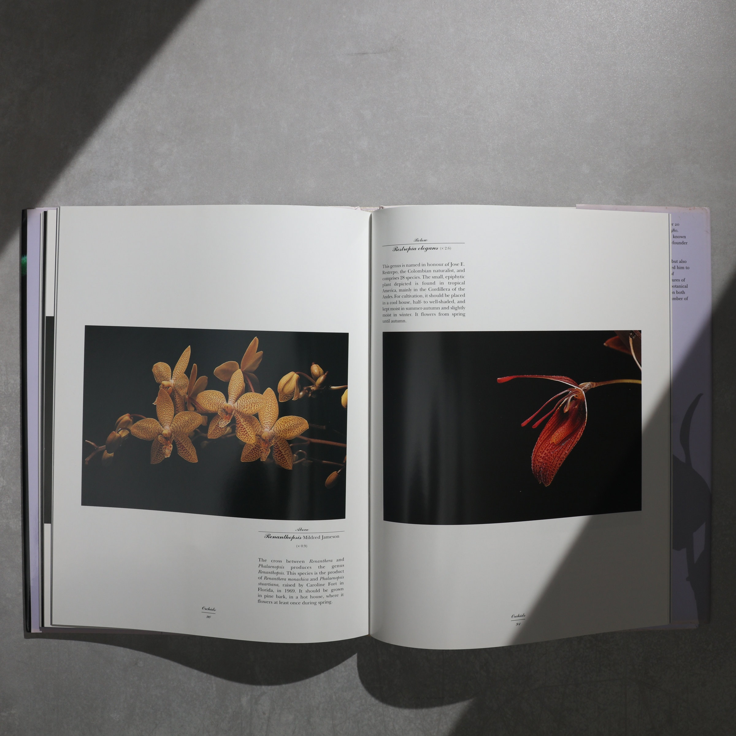 Orchids Flower Book, Vintage Coffee Table Book, MCM Decor, Apartment ...