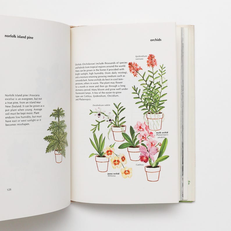 Book of House Plants - Vintage Coffee Table Book, MCM Decor, Apartment ...