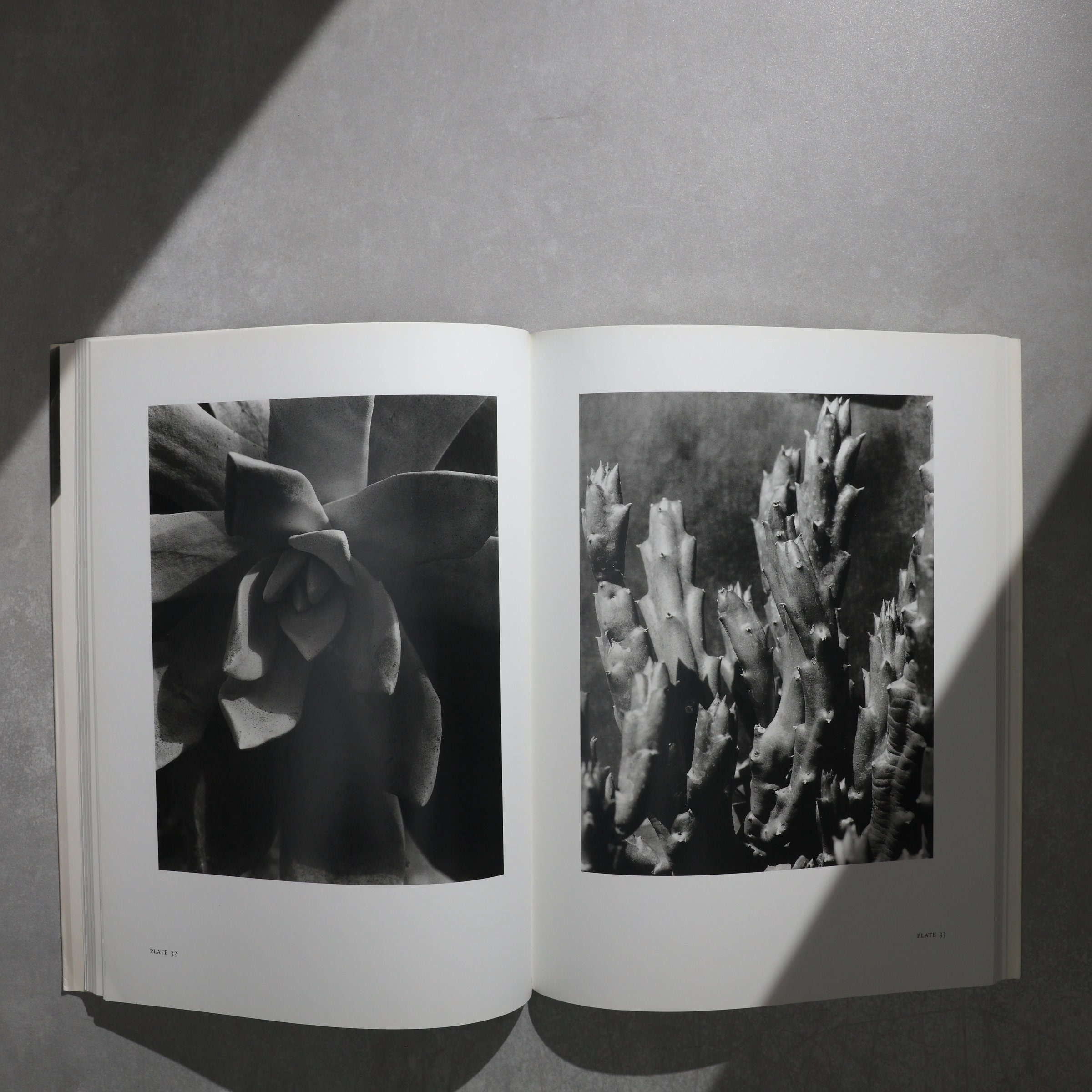 Flora Imogen Cunningham Vintage Coffee Table Book MCM - Etsy