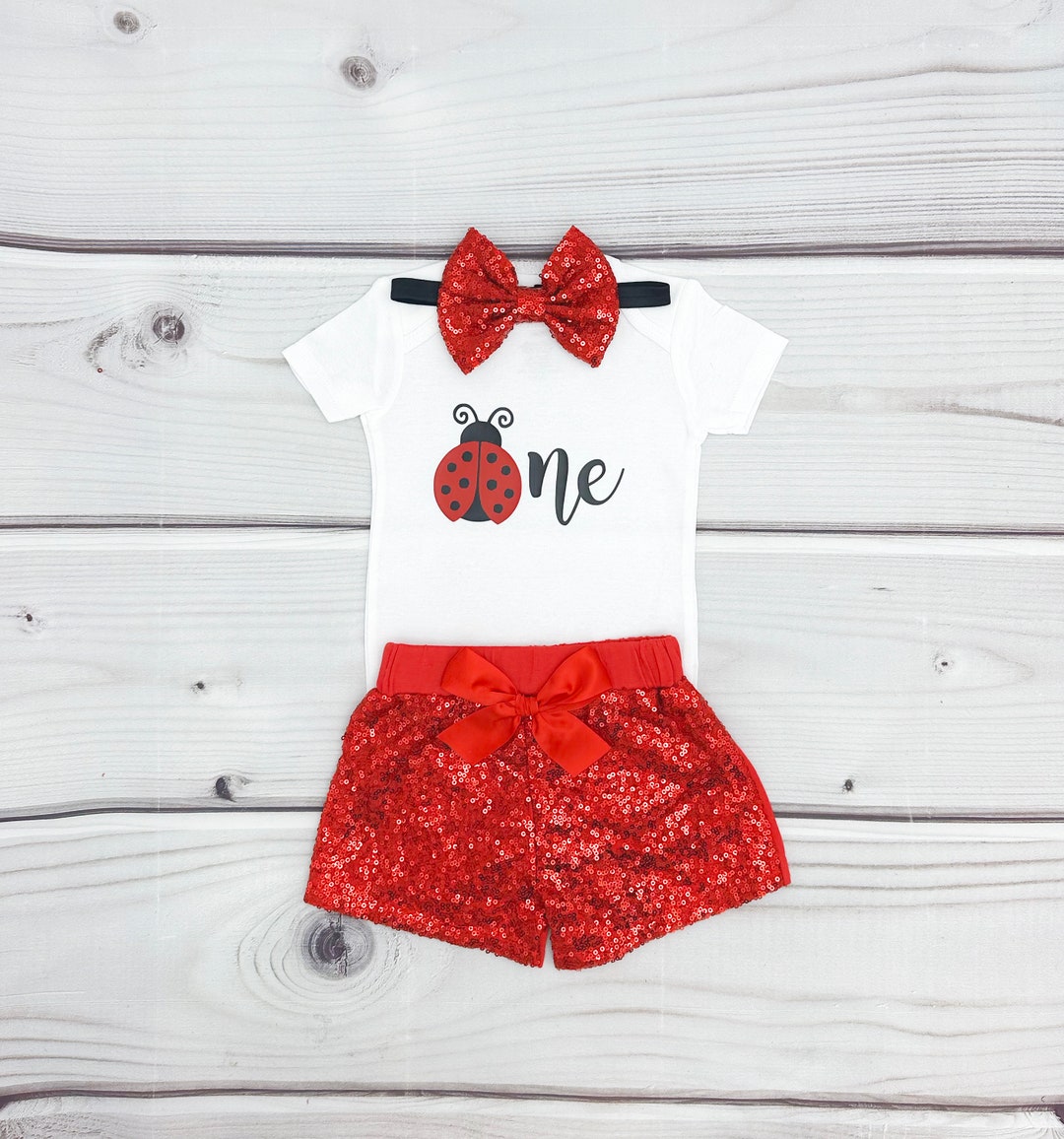 Lady Bug First Birthday Outfit , My First Birthday, Lady Bug Party ...