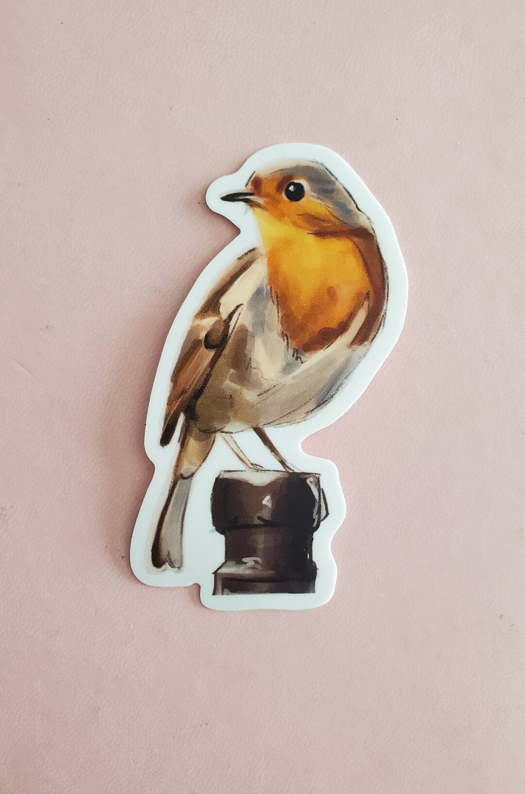 Medium Hand-drawn Robin Sticker - Etsy