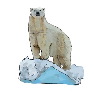 Polar Bear Sticker Hand-drawn - Etsy