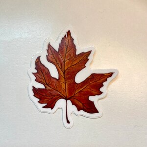 Maple Fall Leaf Sticker Hand-drawn - Etsy