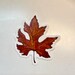 Maple Fall Leaf Sticker Hand-drawn - Etsy