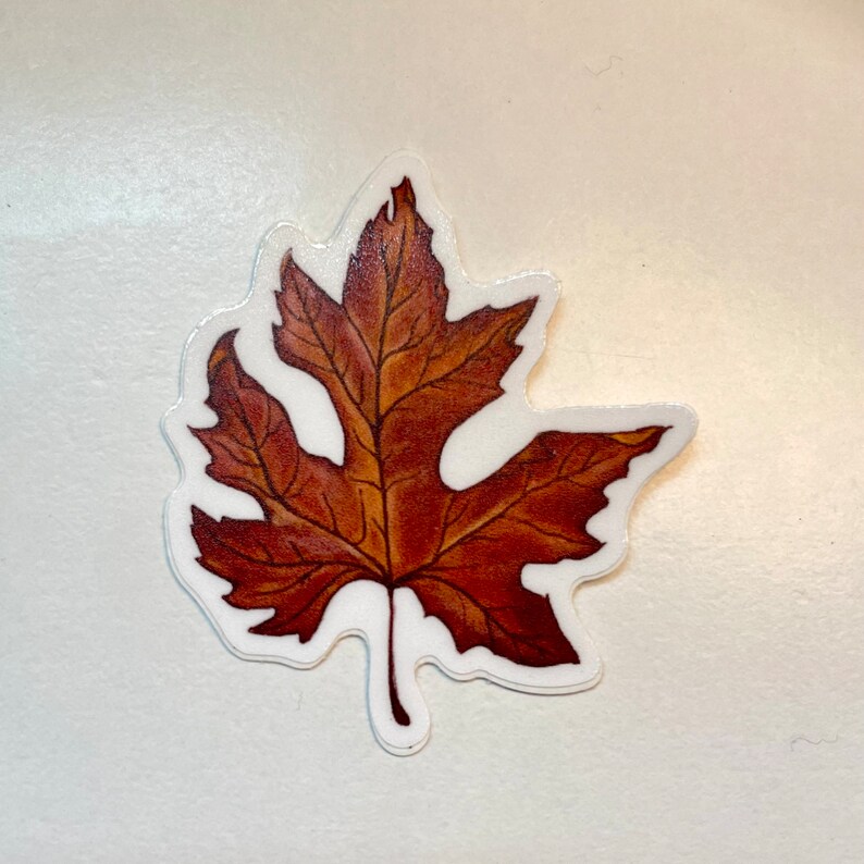 Maple Fall Leaf Sticker Hand-drawn - Etsy