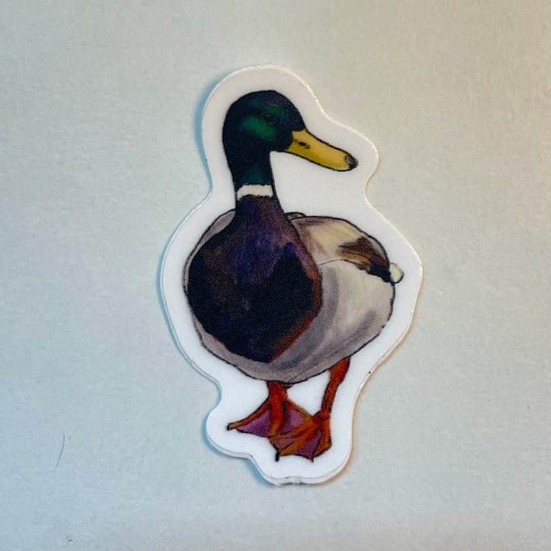 Mallard Duck Sticker Hand-drawn - Etsy