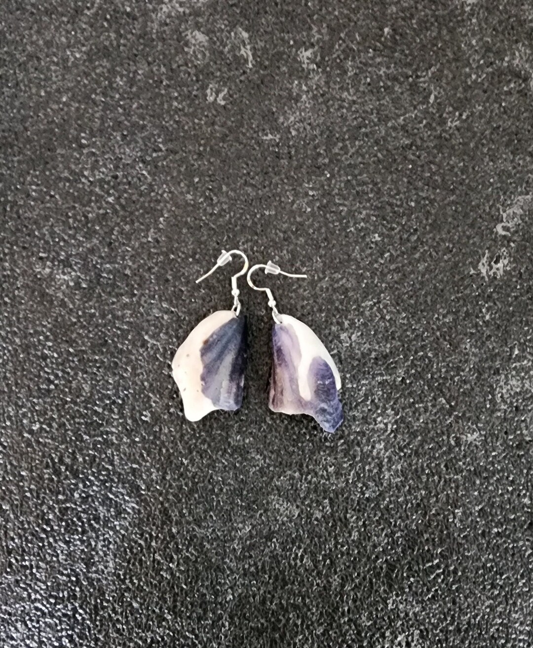 Maine Coast Muscle Seashell Fragment French Cut/shepherd Hook Earrings ...