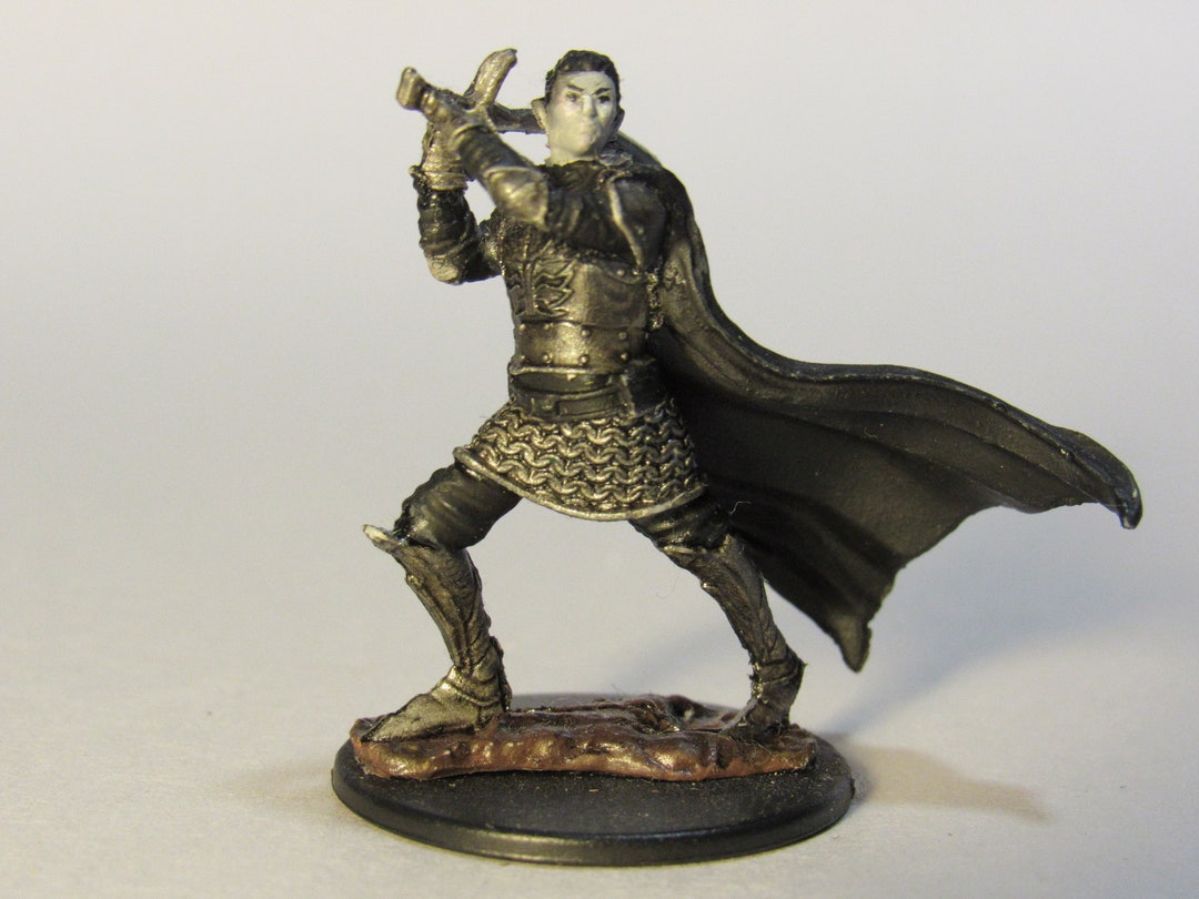 Hand Painted Elf Miniature Male Paladin or Fighter Dnd - Etsy