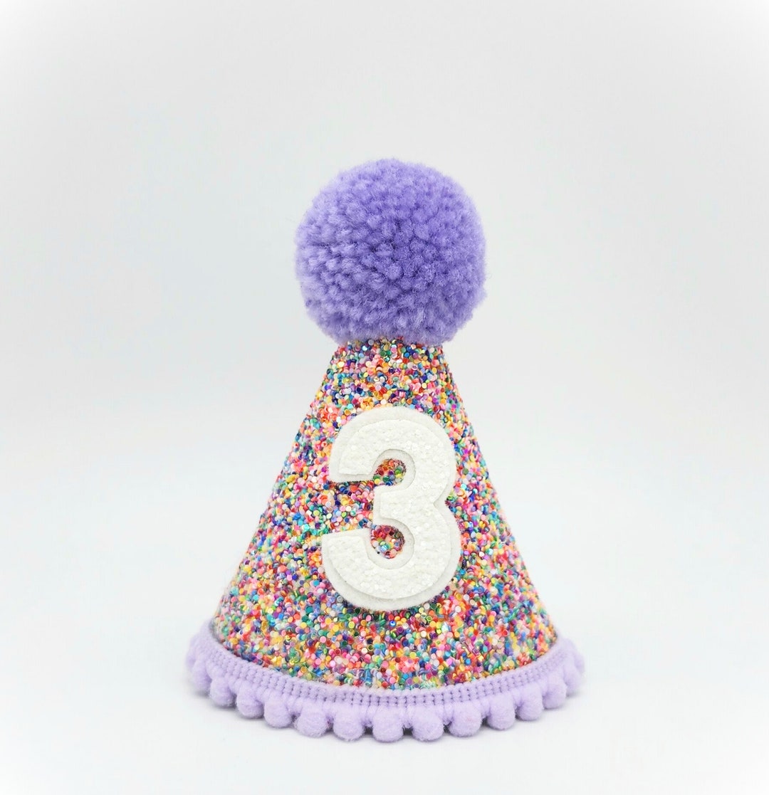 3rd Birthday Hat/ Sprinkles Birthday Hat/ Third Birthday Hat/ Purple ...