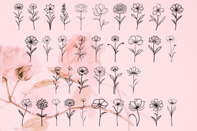 Blossom Whisper Flower Dingbats Fonts, Delicate Floral Symbols, Serene ...
