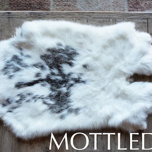 Beautiful Rabbit Pelts | Home Decor | Mountain Home | Real Rabbit Furs ...