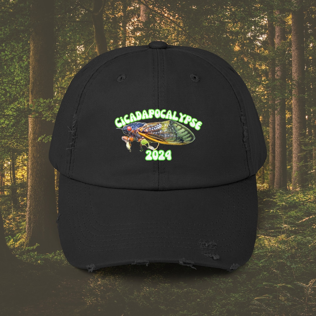 Cicada Apocalypse 2024 Unisex Distressed Cap - Etsy