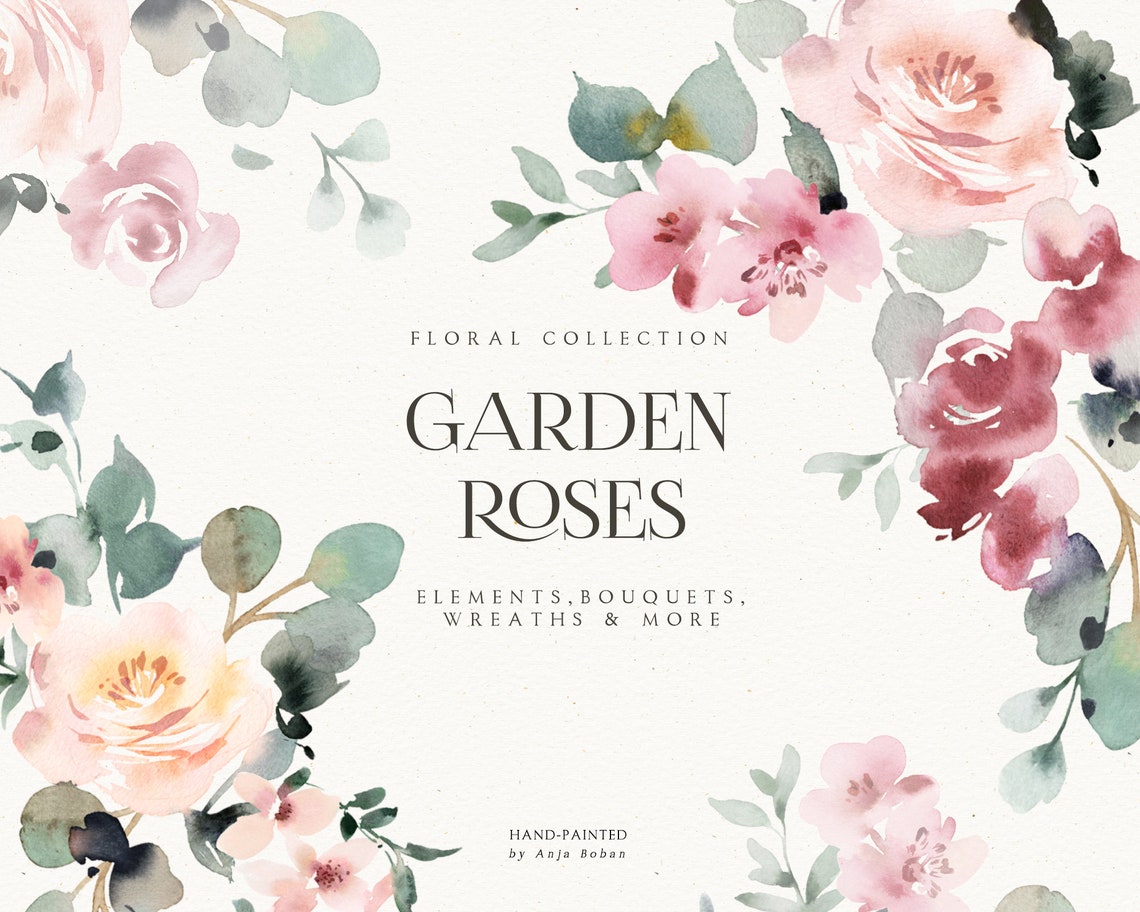 Watercolor Rose Clipart Collection Wedding Hand Painted - Etsy