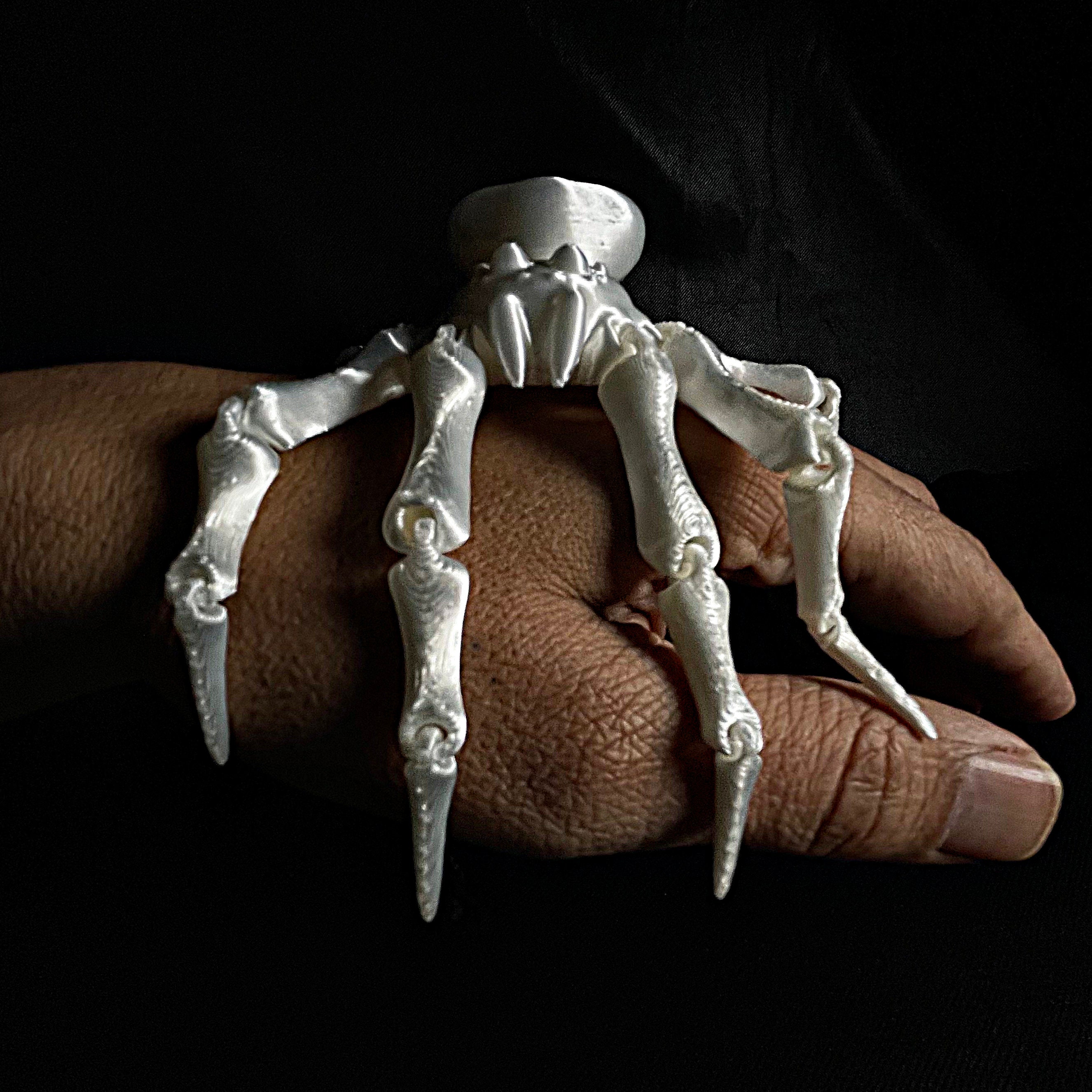 Articulated Silky Bone Spider - Etsy