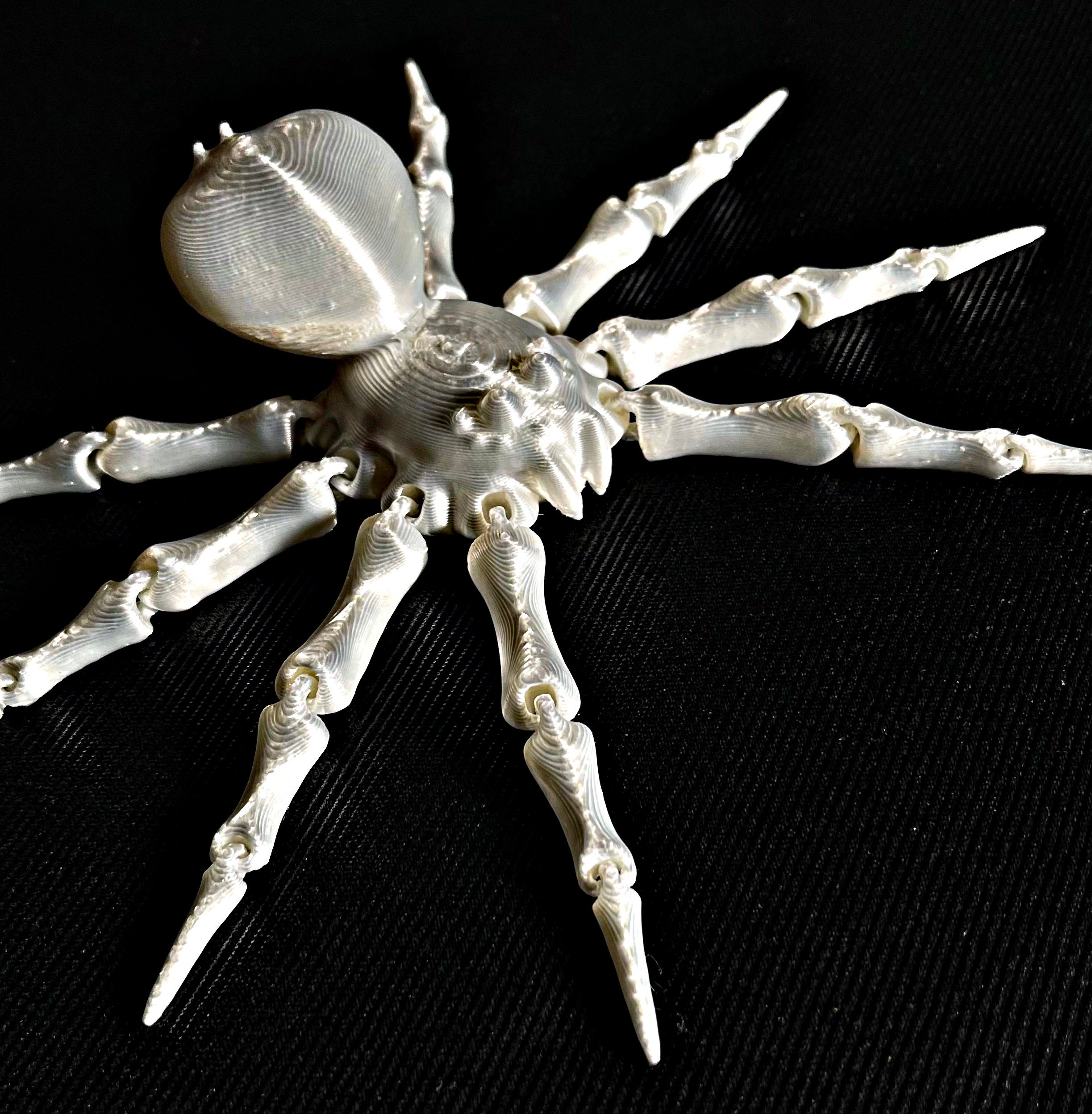 Articulated Silky Bone Spider - Etsy