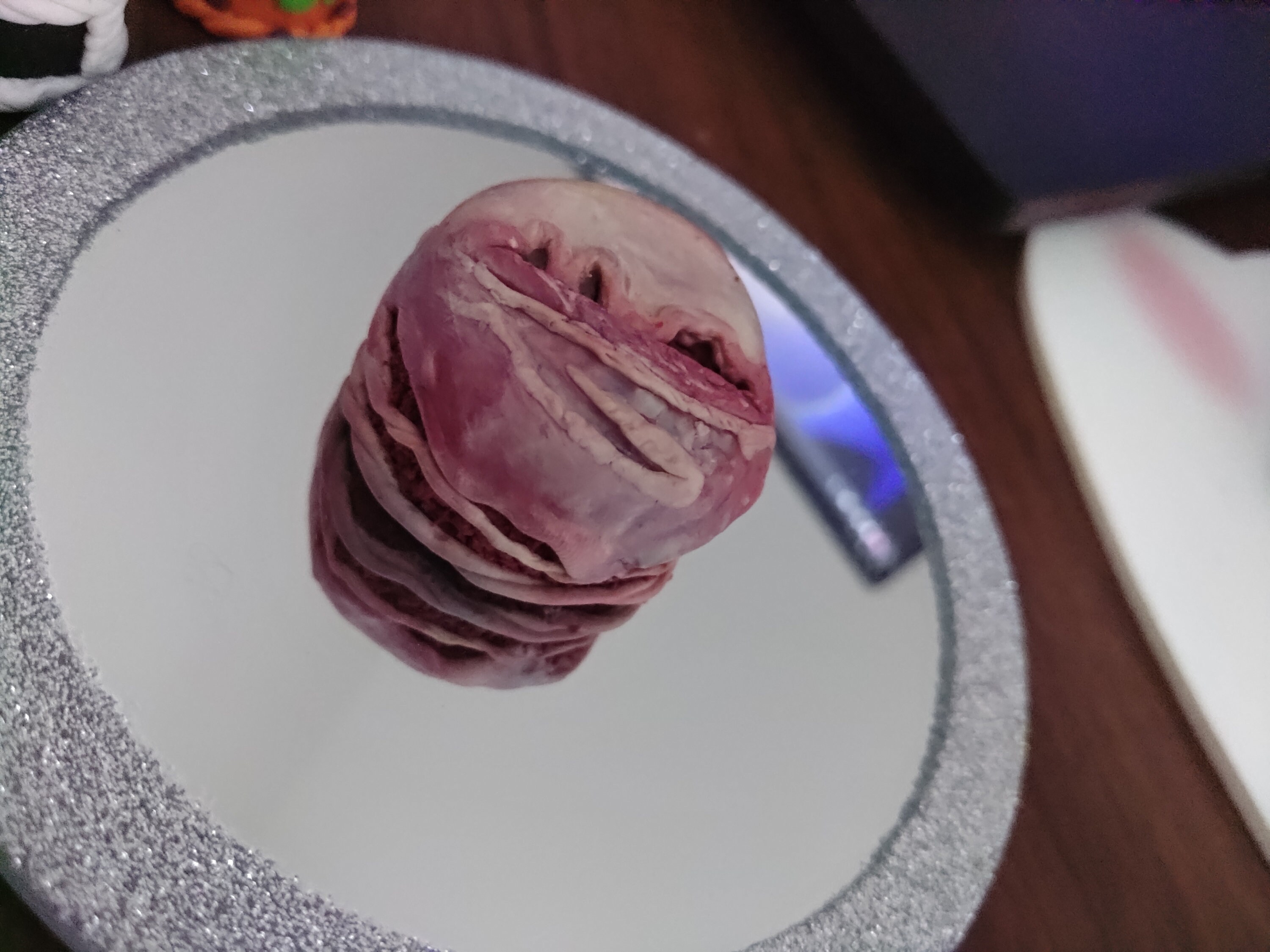 Flesh Fillet, Disgusting Fake Rotting Meat, Hellisih, Grotesque Ring ...