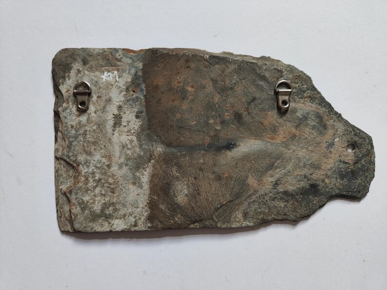 Mackerel Fish Painting on Cornish Slate - Etsy UK