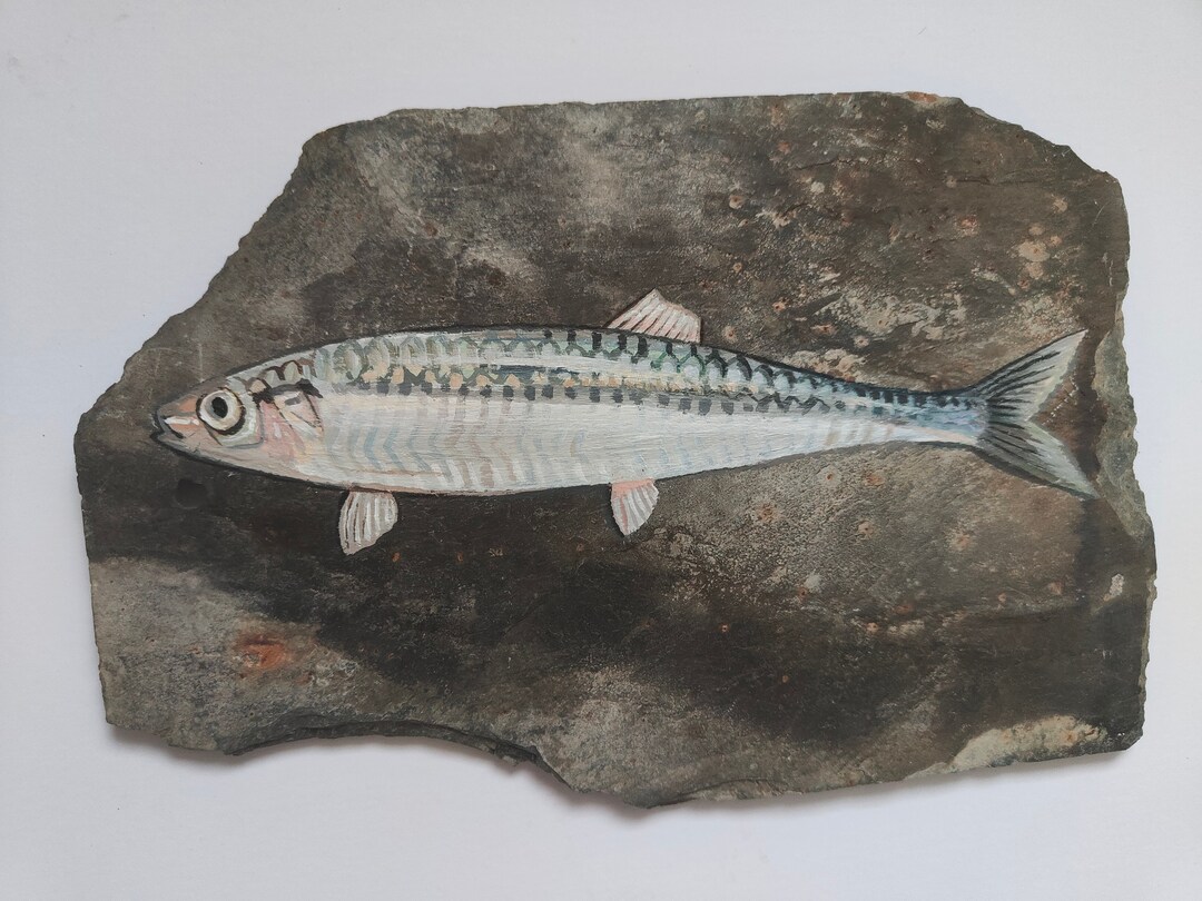 Pilchard Fish Painting on Cornish Slate - Etsy