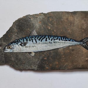 Mackerel Fish Painting on Cornish Slate - Etsy UK