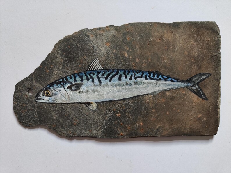 Mackerel Fish Painting on Cornish Slate - Etsy