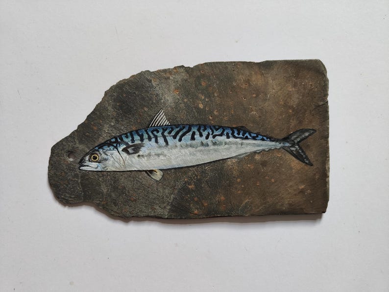 Mackerel Fish Painting on Cornish Slate - Etsy UK