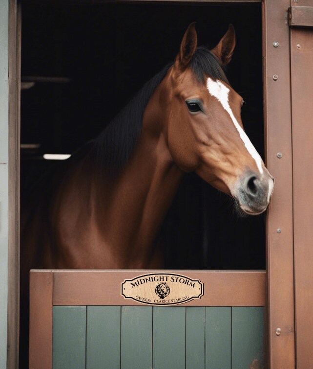 Stall Sign for Horse Horse Name Plate Stable Sign Equestrian ID Owner ...