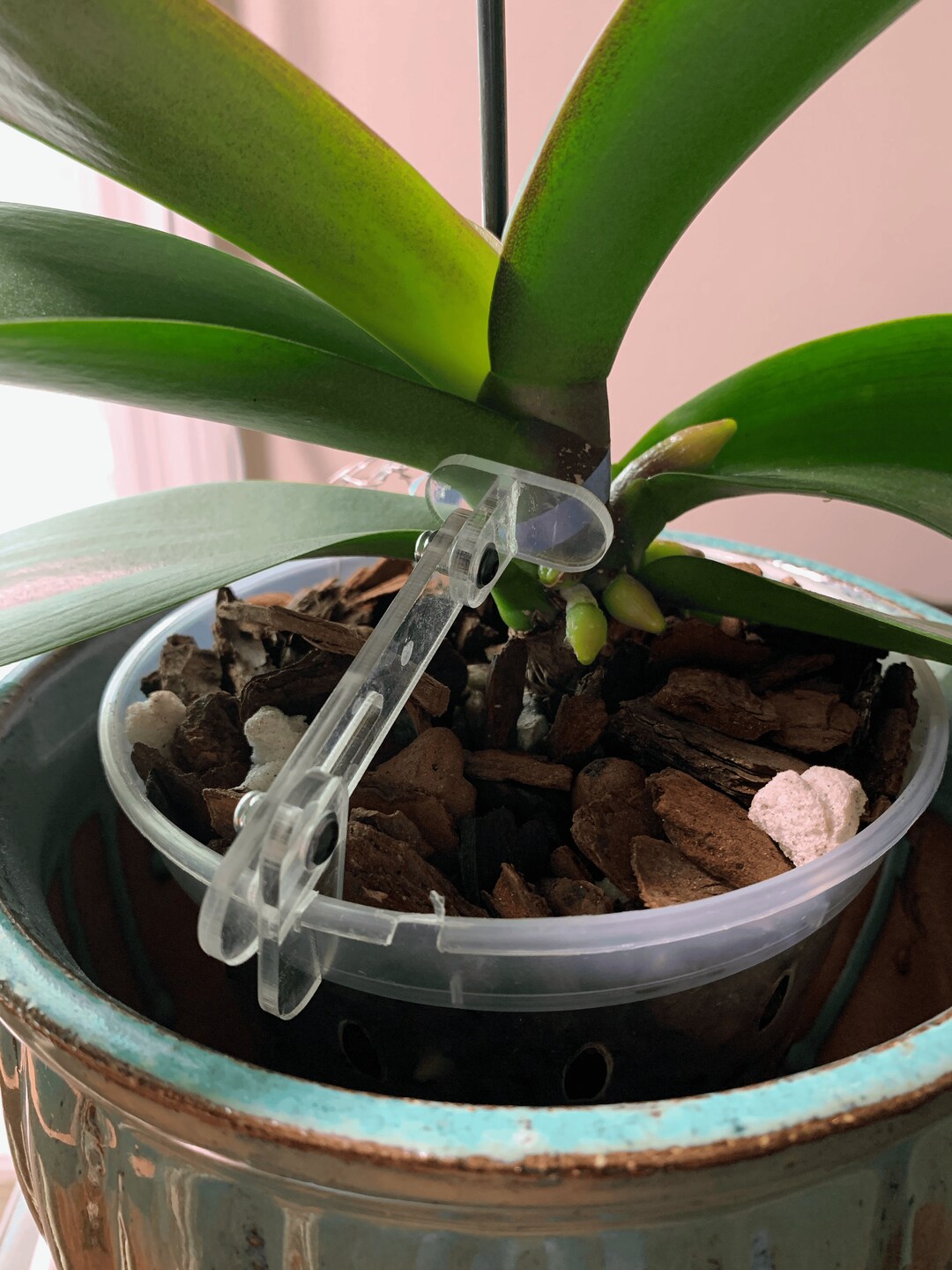 Phal Pal™, Orchid Support, Plant Support, Adjustable Orchid Brace - Etsy