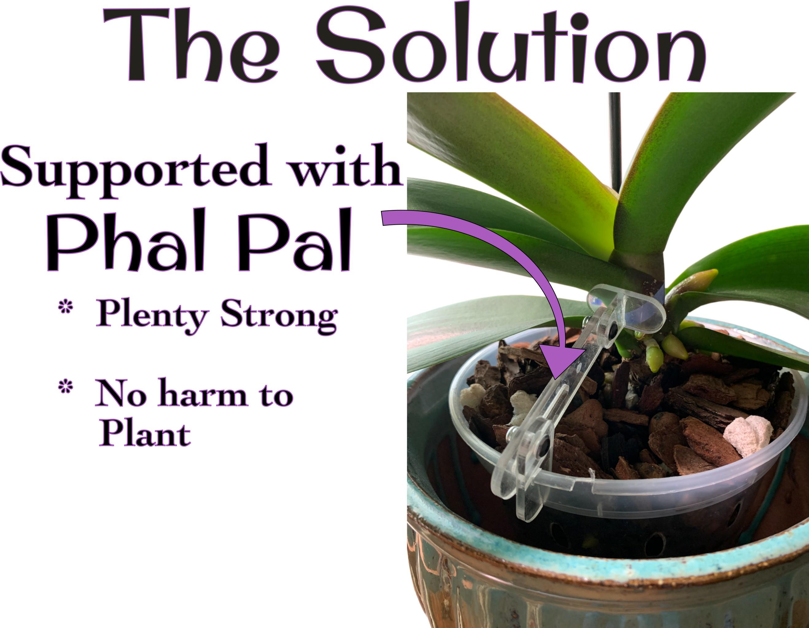 Phal Pal™, Orchid Support, Plant Support, Adjustable Orchid Brace ...
