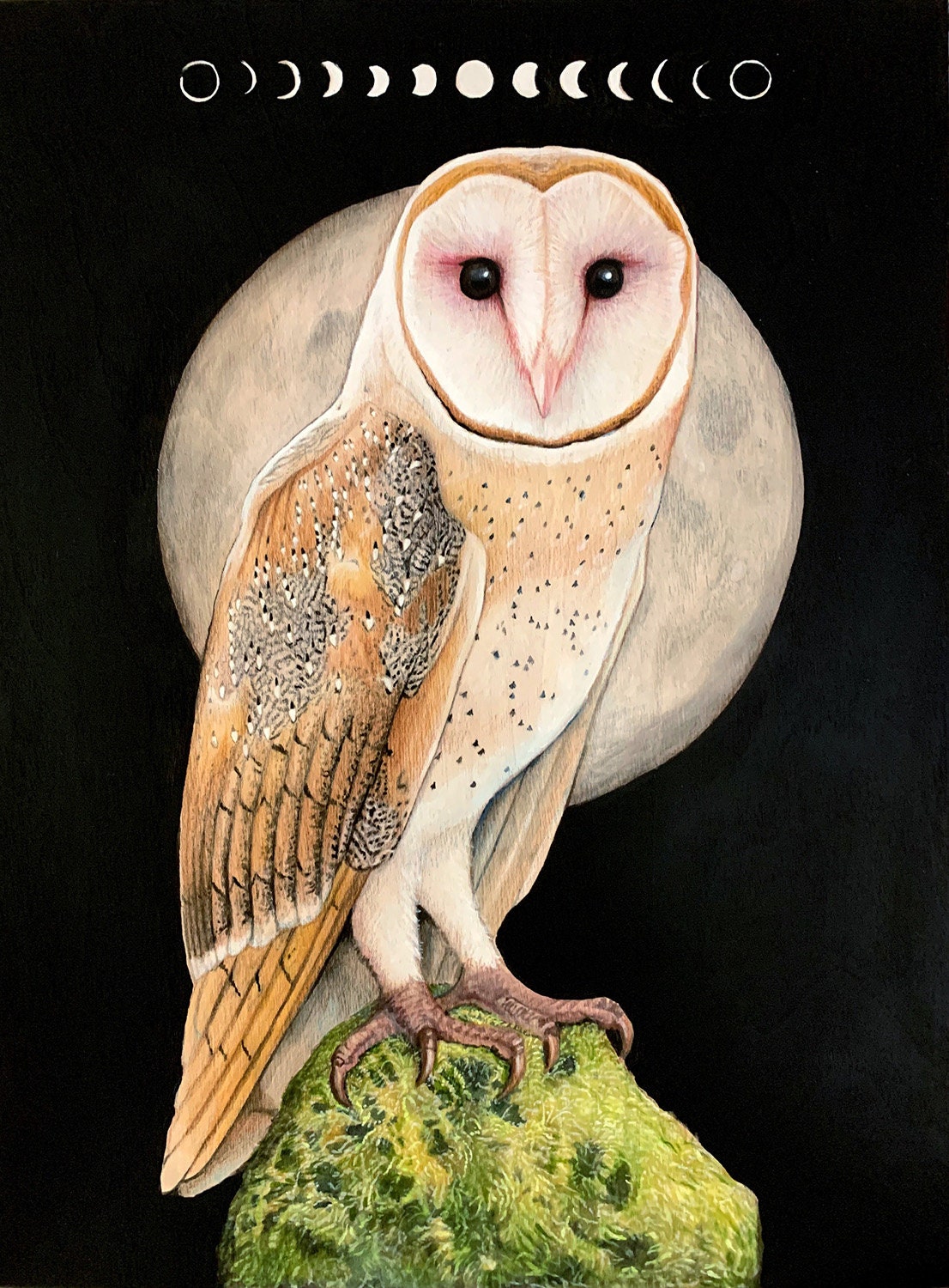 Phases of the Moon Barn Owl Fine Art Print. Celestial Witchy Decor ...