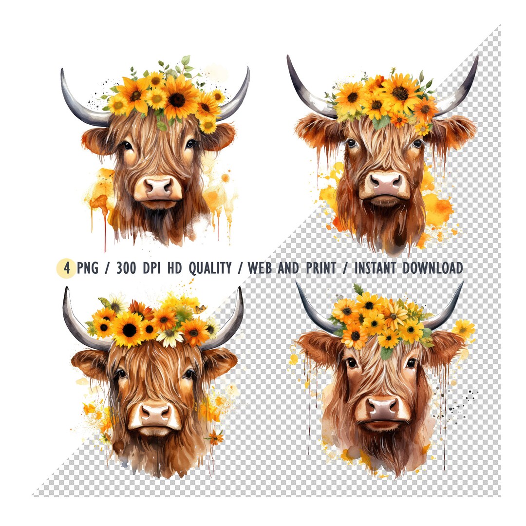 Highland Cow With Sunflower Bouquet PNG, Highland Cow Watercolor ...