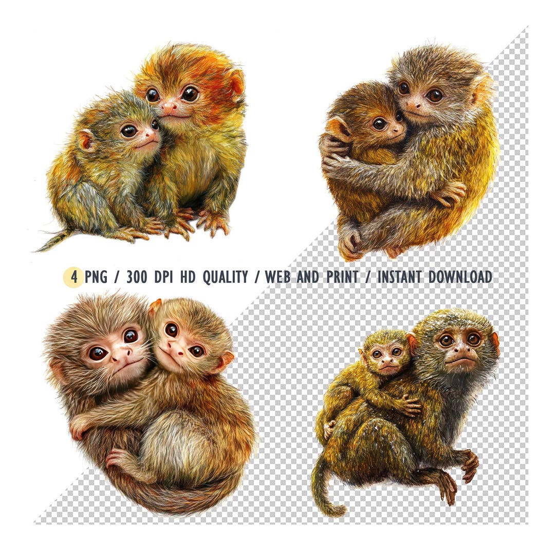 An Baby and Mom Pygmy Marmoset PNG, Watercolor Painting, Earthy Tones ...